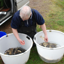 The Fishery - Ryton Farm